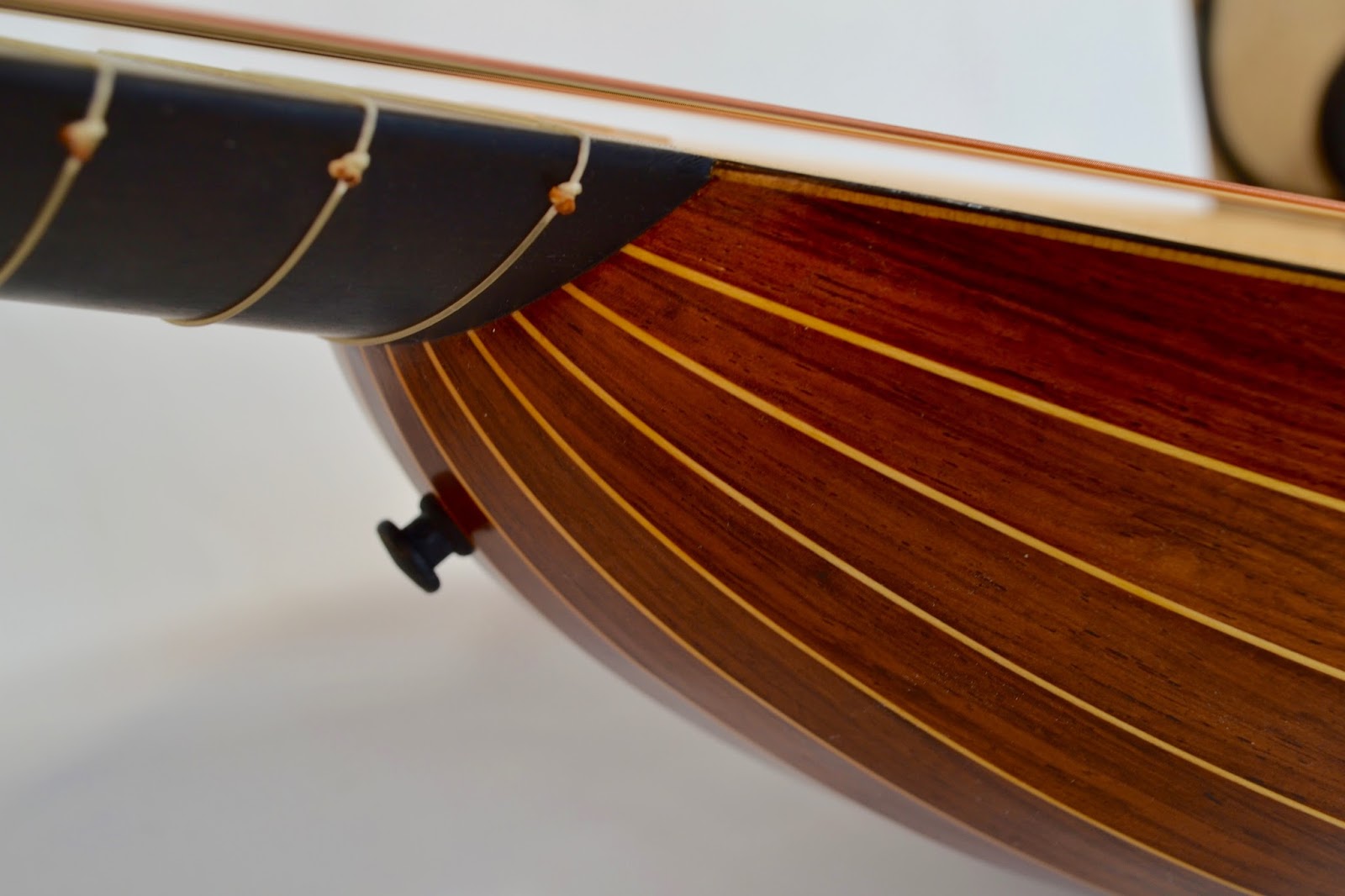 The Lute's Progress,: New Work, and a Bit Unusual, Too