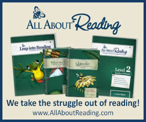 Milk N' Honey Learn and Grow: All About Reading Level 2 Review