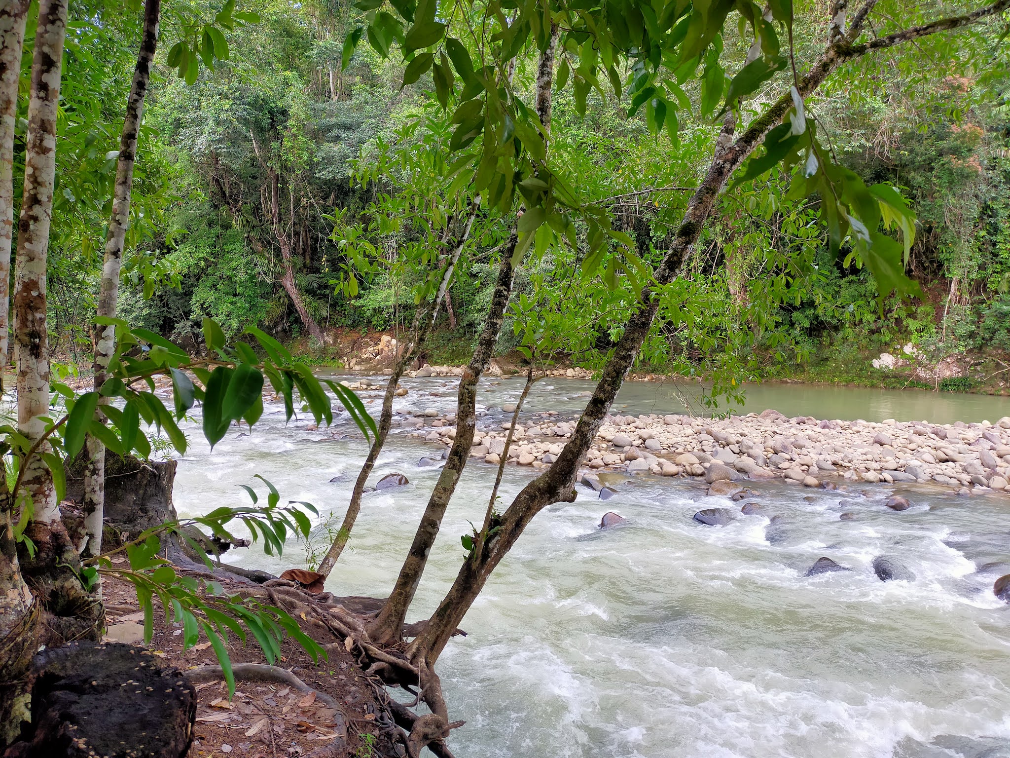 Mandalipau White Water View & Fish Pond