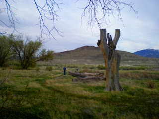 The Crooks in the Lot: Lucin, Utah