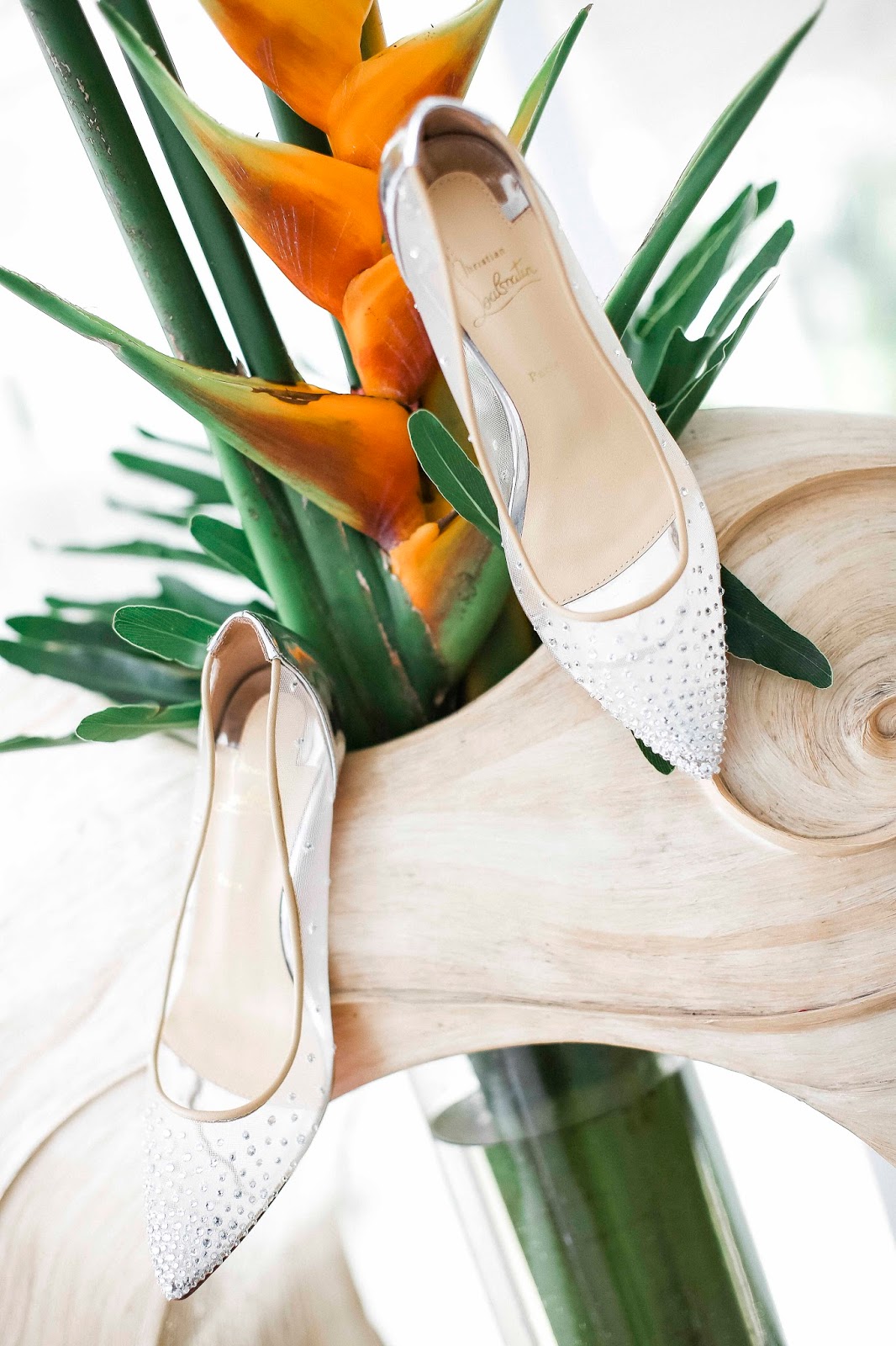 DIY - The Red Queen ~ The Rebellious Brides