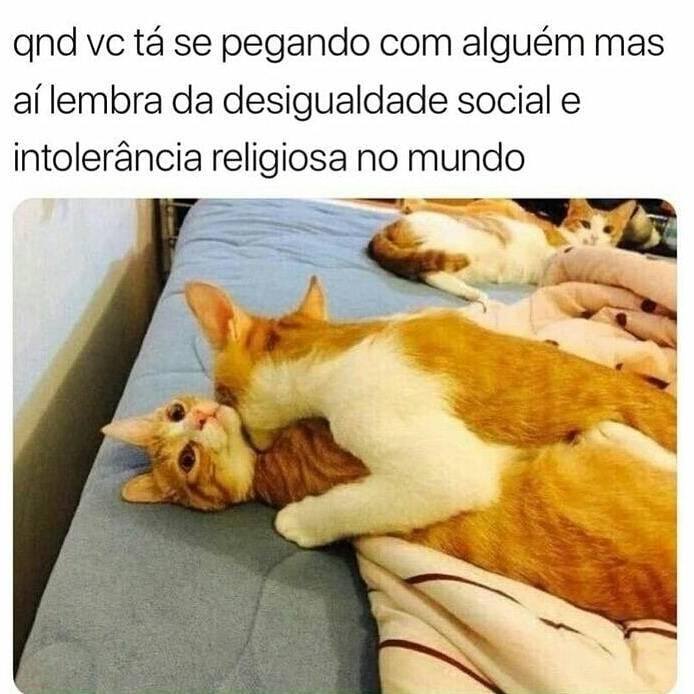 80 Memes da Filosofia Moderna