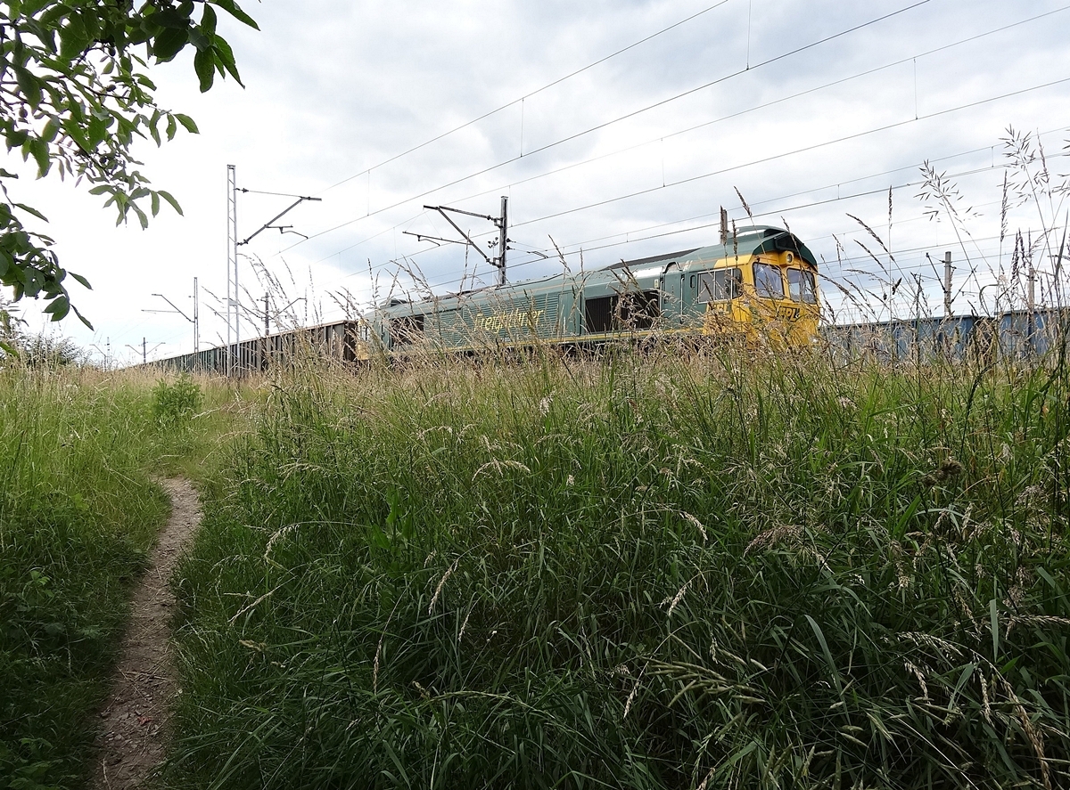 Firmowy pociąg FPL na stacji Kielce Herbskie: Class 66604 z węglarkami ...