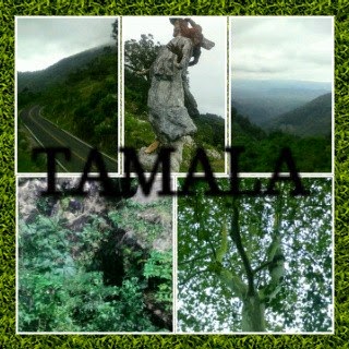 MATLAPA SAN LUIS POTOSI: TAMALA