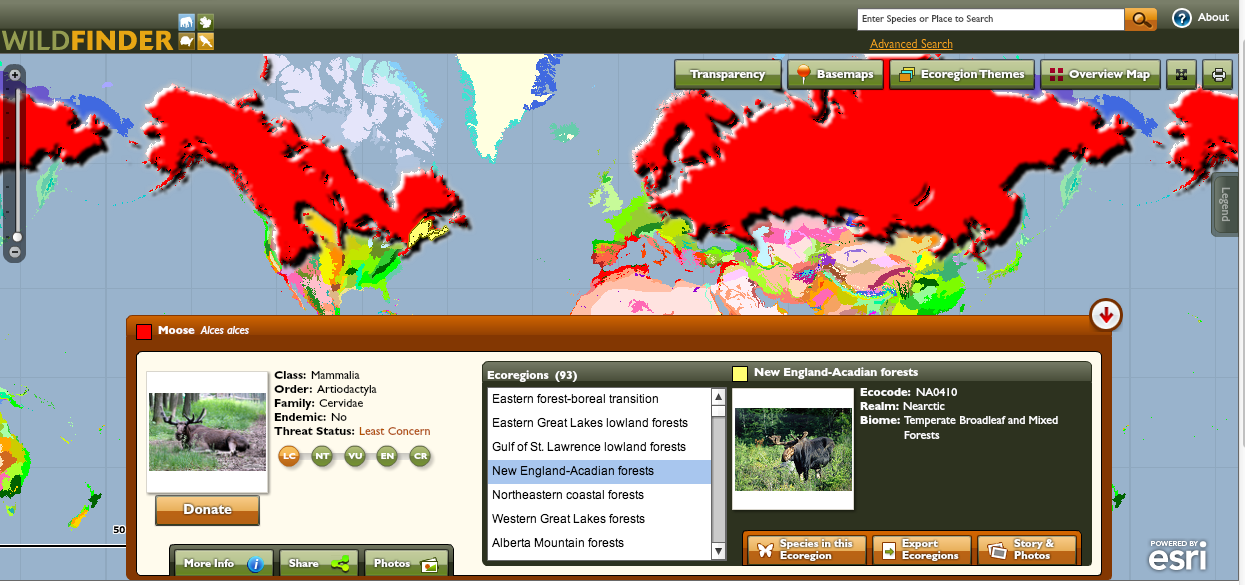 View Animals and Their Ranges Through WWF Apps ~ Faweer - The ...