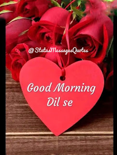 Best Good Morning Status for Love, Friends and Family
