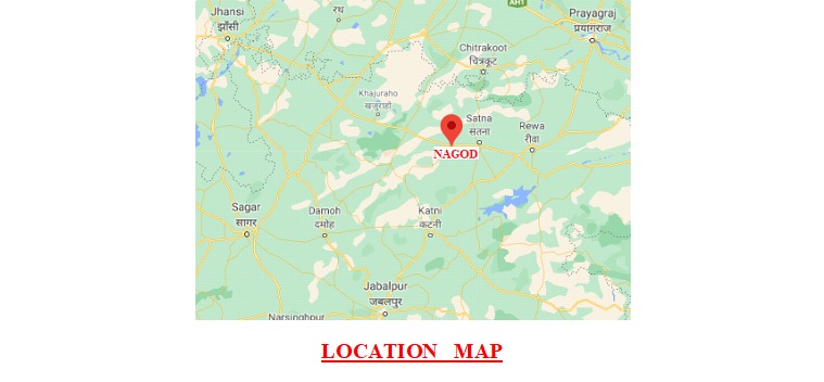 Nagod princely state court fee / revenue stamp