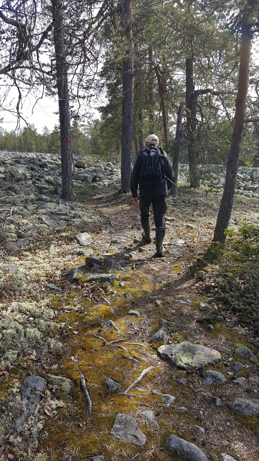 Nordlig utpost: Vandring i nära landskap 4 - Bälingeberget