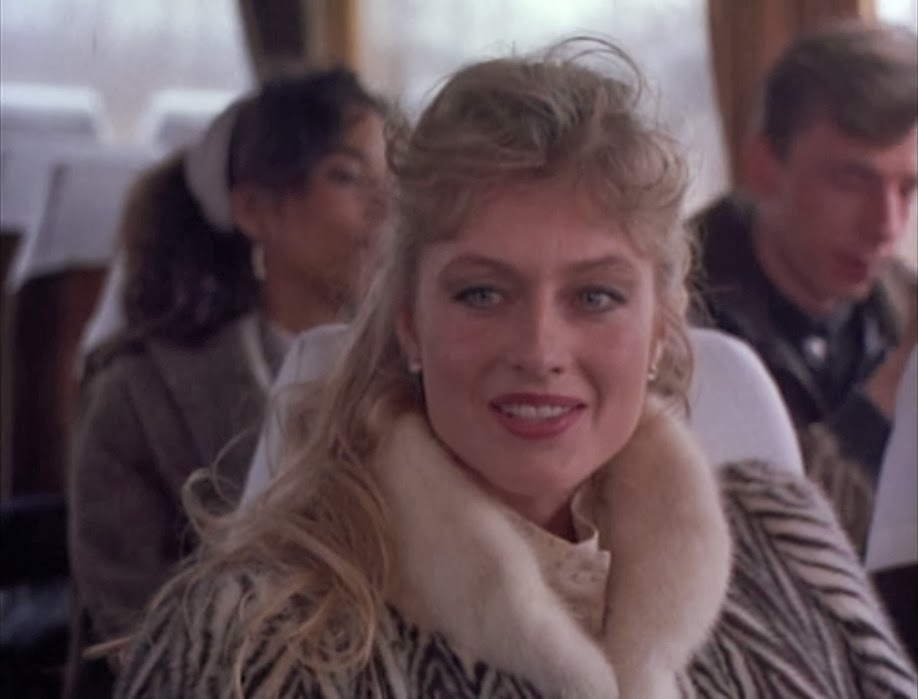 Direct to Video Connoisseur Images: Howling V: The Rebirth (1989)