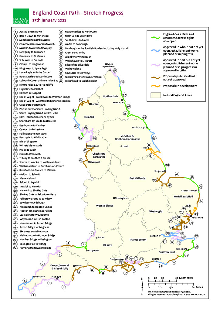 Step 2: Reseach – Skildpadden