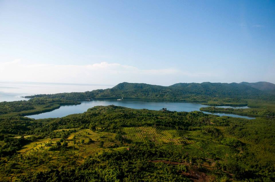 Save Turtle Bay Palawan: Save the wildlife in Turtle bay