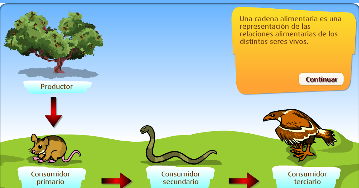 biologia verde: CADENA ALIMENTICIA DE LAS PLANTAS