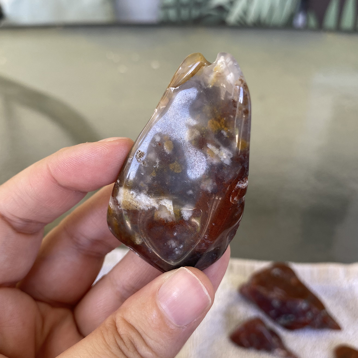 A school of fish: Polished Agate from Brian Head