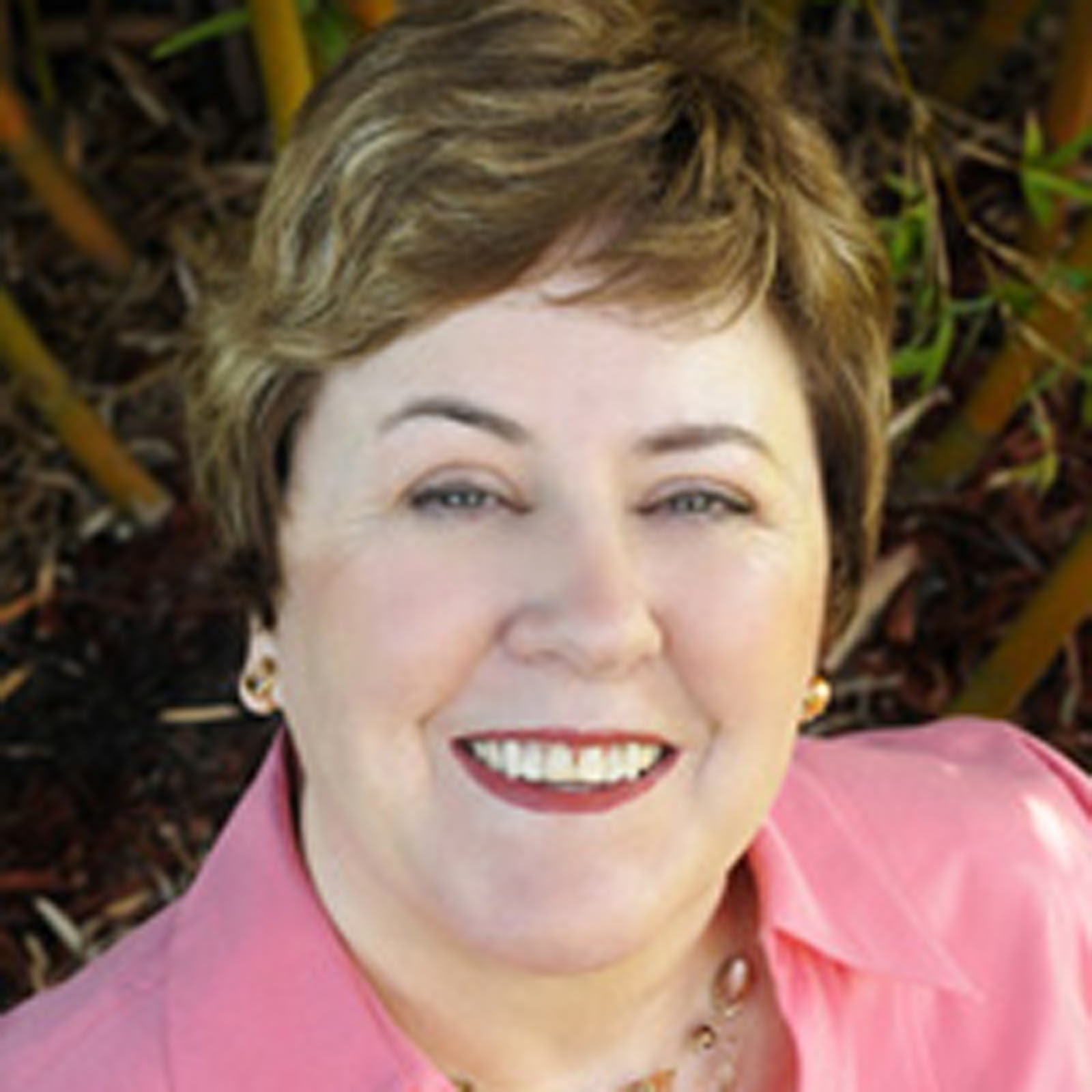 BooksChatter: ☀ Arizona Caress - Bobbi Smith