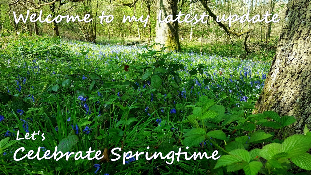 JJ's Photographic nature blog: Springtails are responsible for the ...