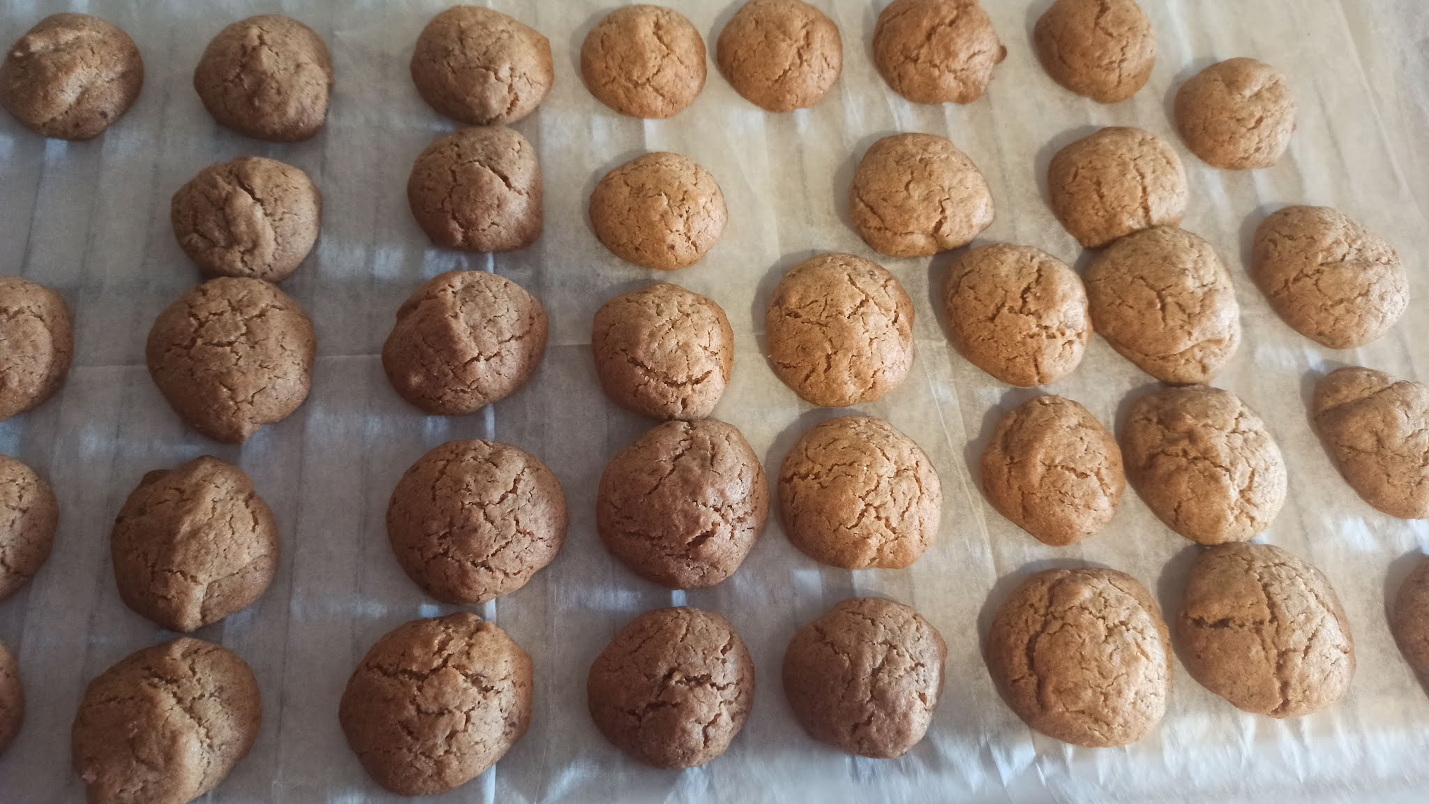 Easy Gluten Free Vegan Ginger Snaps Recipe Frugal And Delicious easy-gluten-free-vegan-ginger-snaps-recipe-frugal-and-delicious