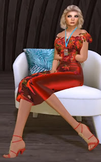 Echt Virtuell: [SL17B] - Meet the Lindens: Interview mit Patch Linden