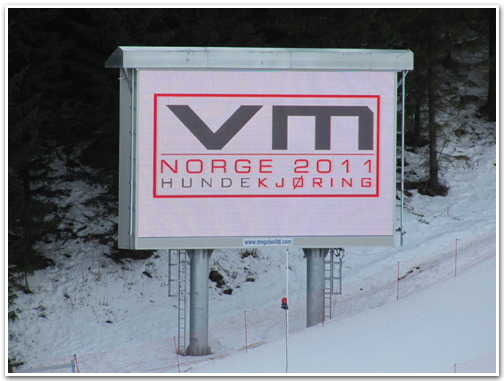 Minna Viide: Gallery