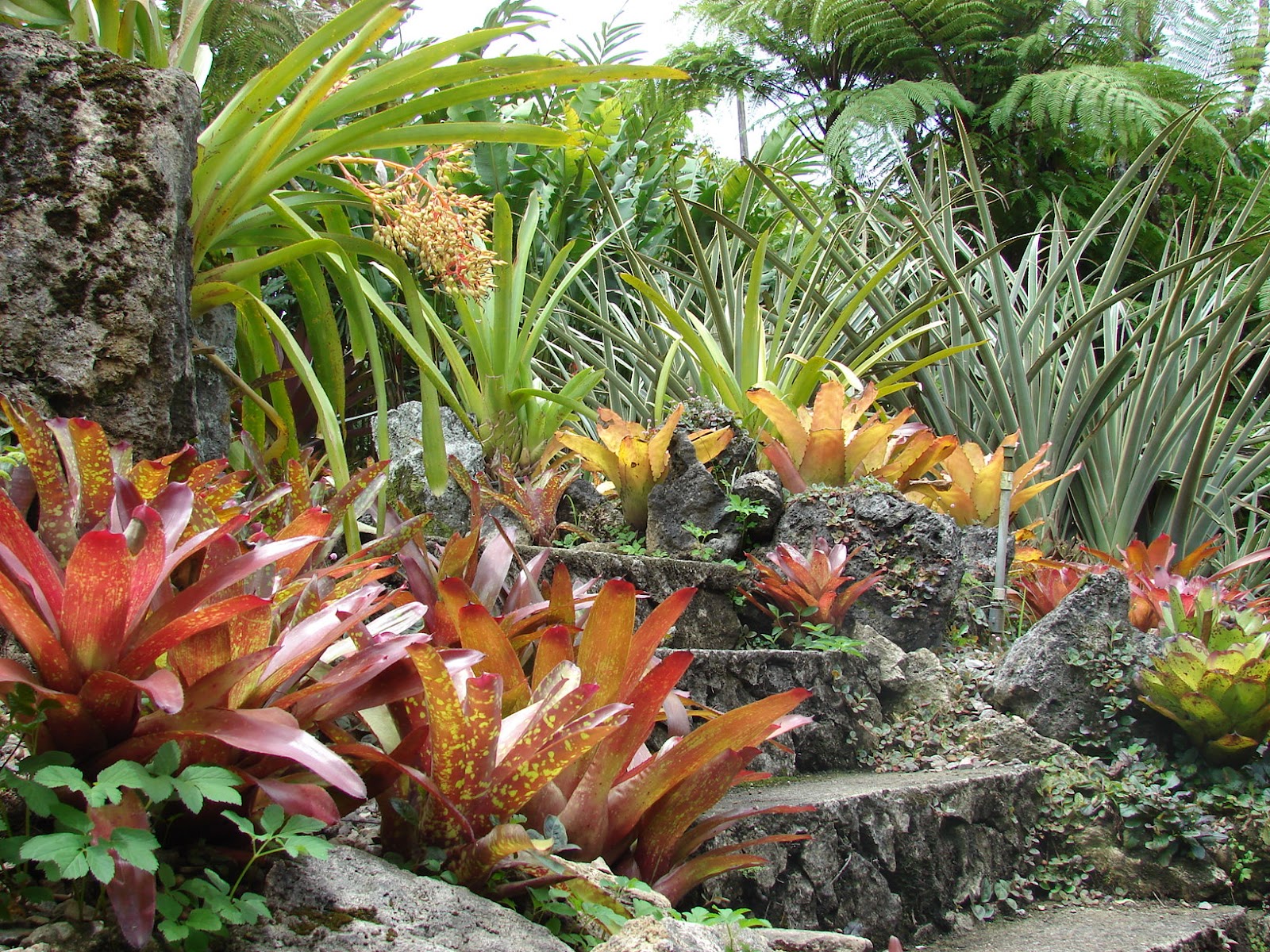 Paisajismo, pueblos y jardines: JARDIN DE HACIENDA LA LAGUNA ...
