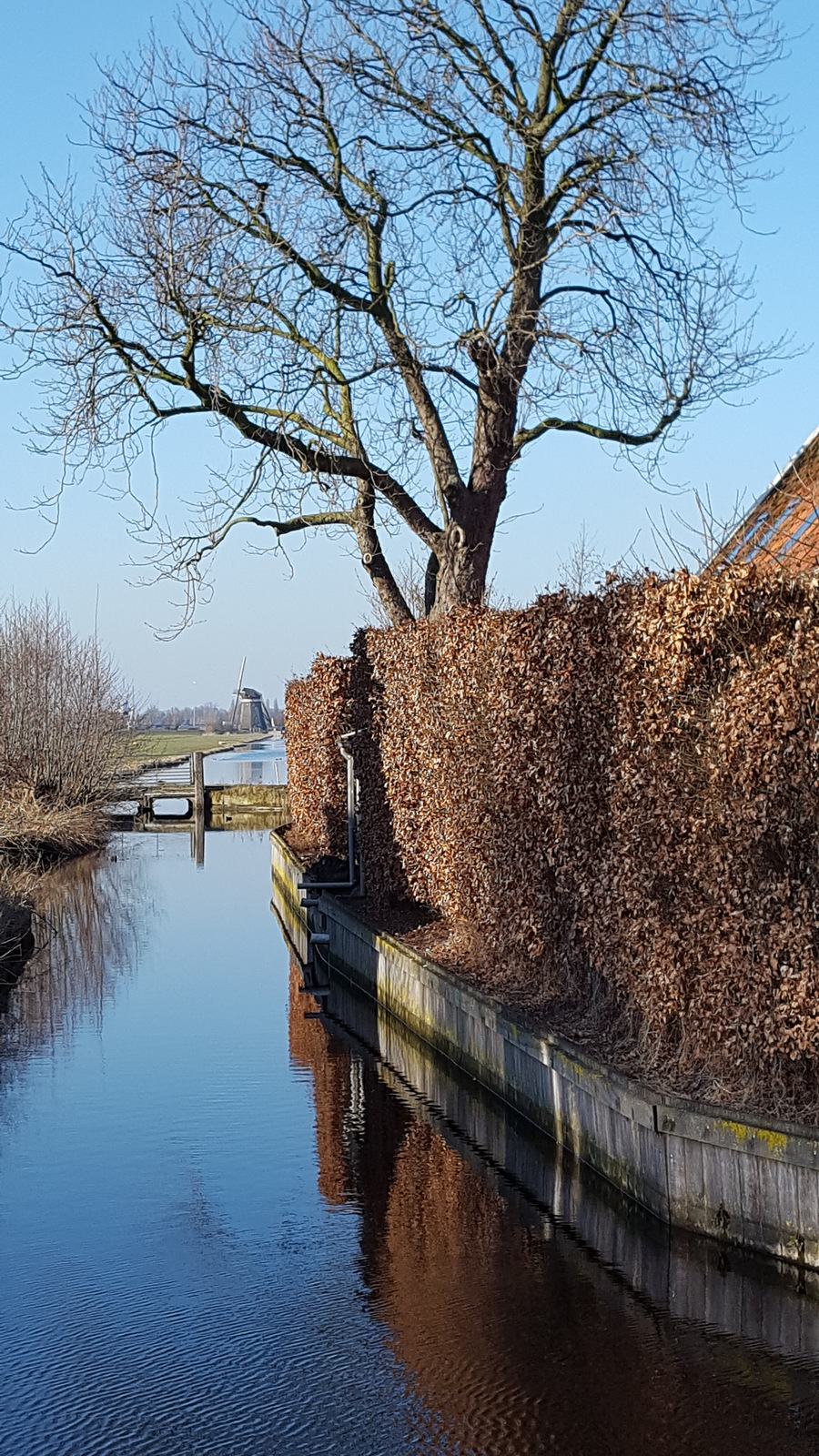 Het Bloeiende Buitenleven: NEDERLAND WATERLAND - THE NETHERLANDS WATER ...