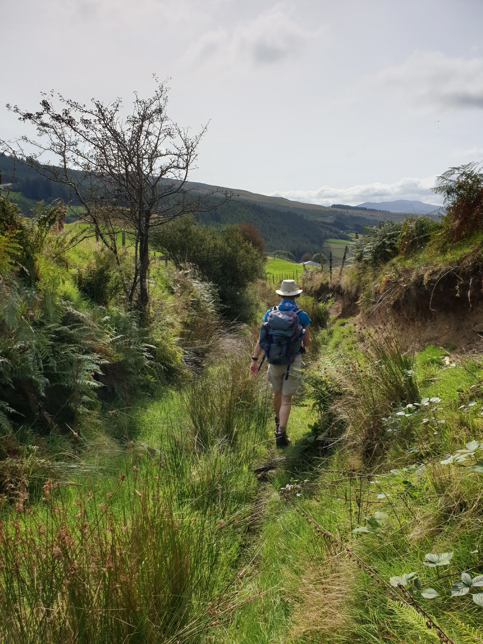 Postcard from Timperley: Tuesday 21 September 2021 - Ceunant Cynfal and ...