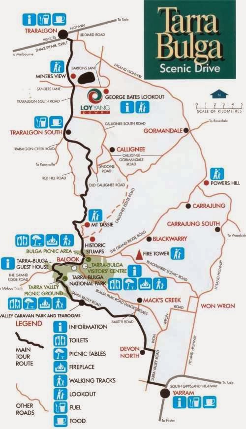 Other Way: Tarra-Bulga National Park , Victoria , Australia