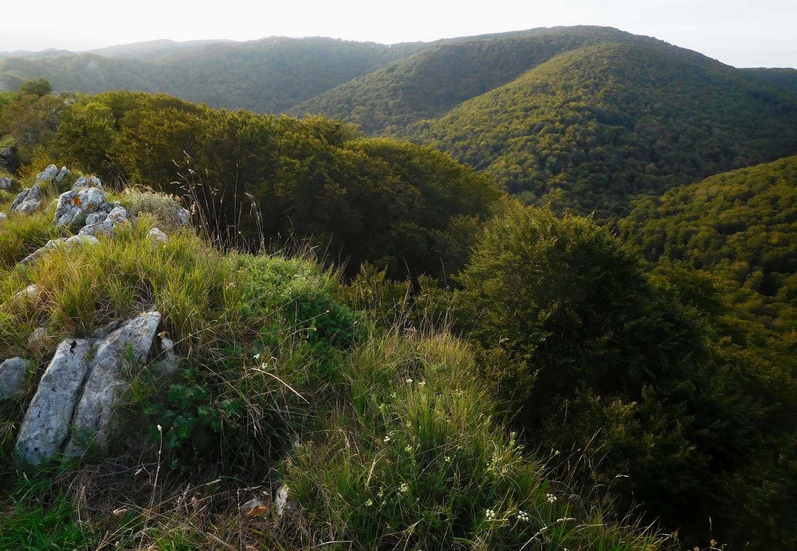 SARABEKO HAITZA desde el VALLE DE SARABE ( URDIAIN ) 159