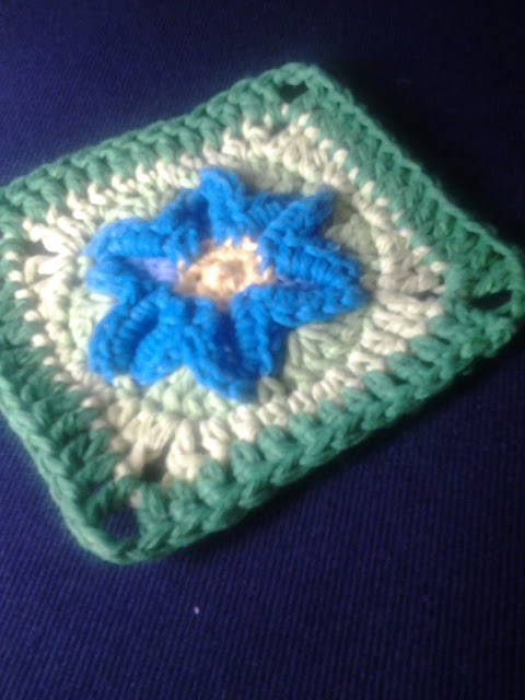 Loewenzahm: Iris Square