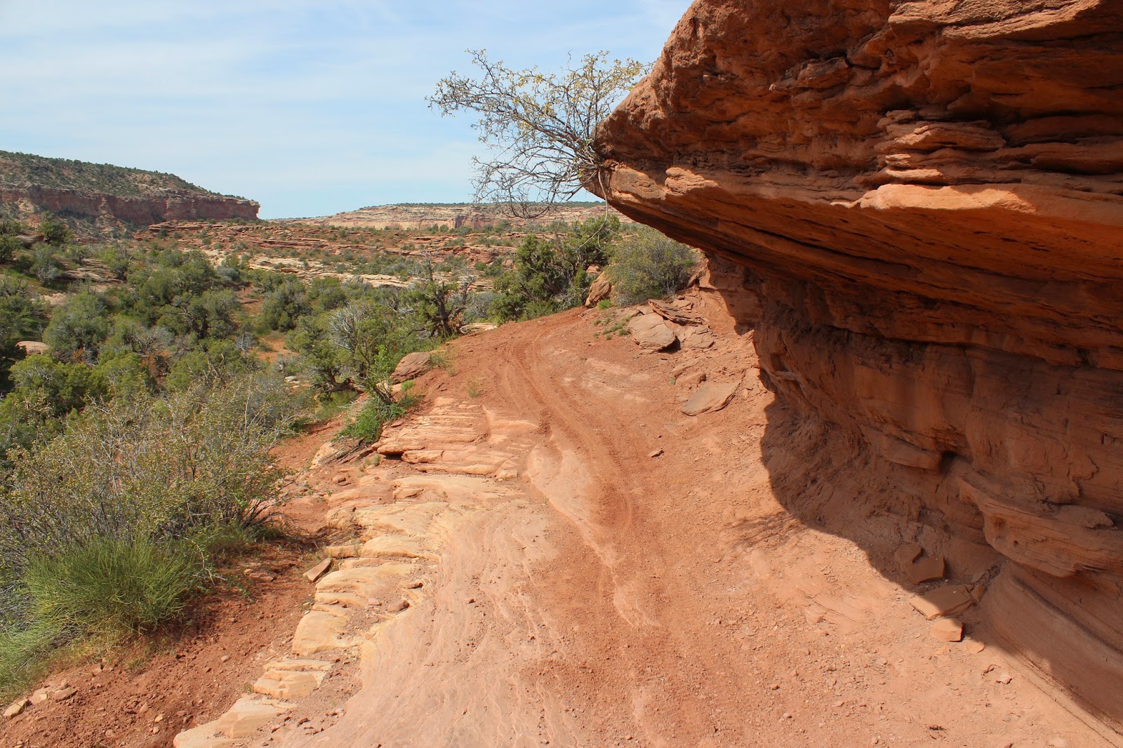 gjhikes.com: Rim Trail #8