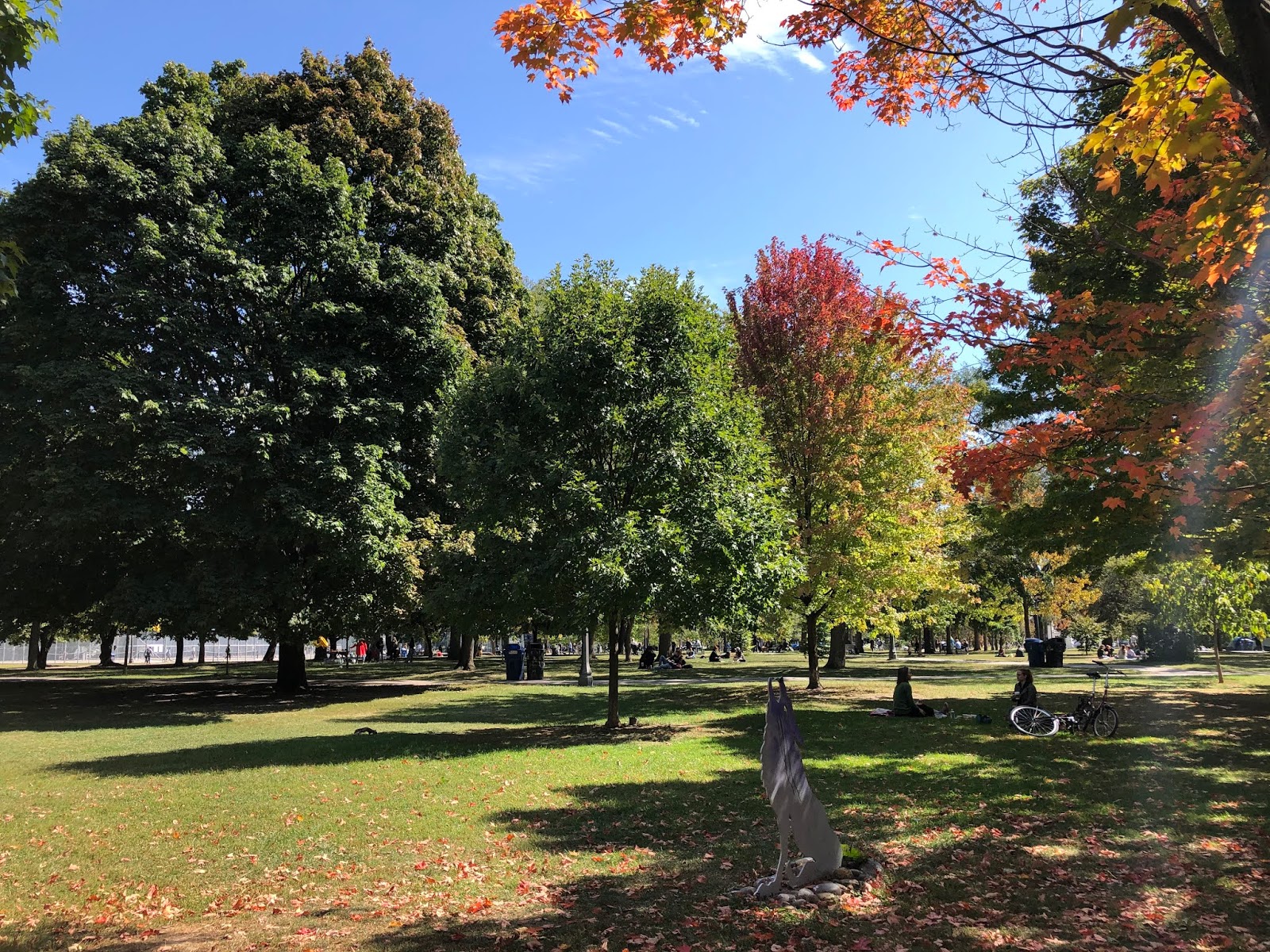 Teena in Toronto: KC's tree, Trinity Bellwoods Park, Toronto, ON