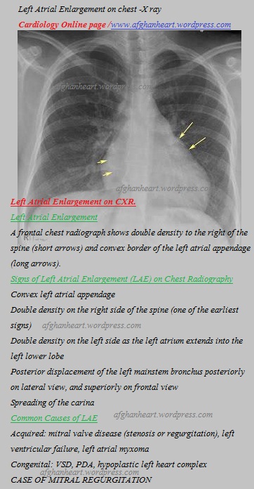 Dr.Nabil Paktin's Cardiology Blog مجله کاردیولوژی دکتور نبــیل پاکطـین ...