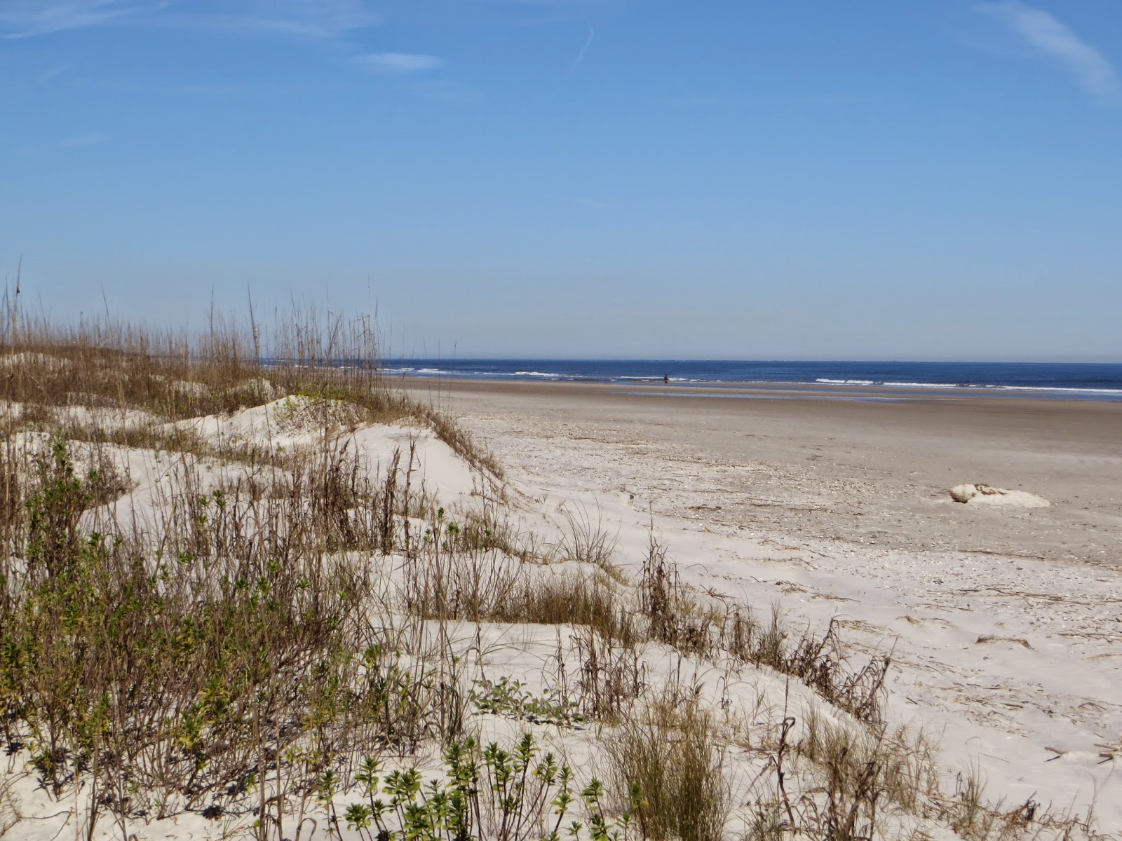 Nature Is Real: LIttle Talbot Island State Park
