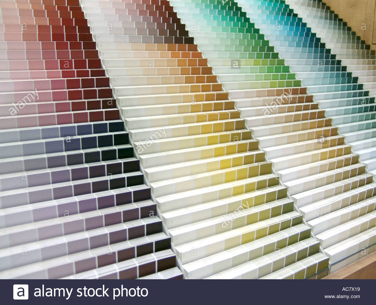 Sample Paint | Wall Painting