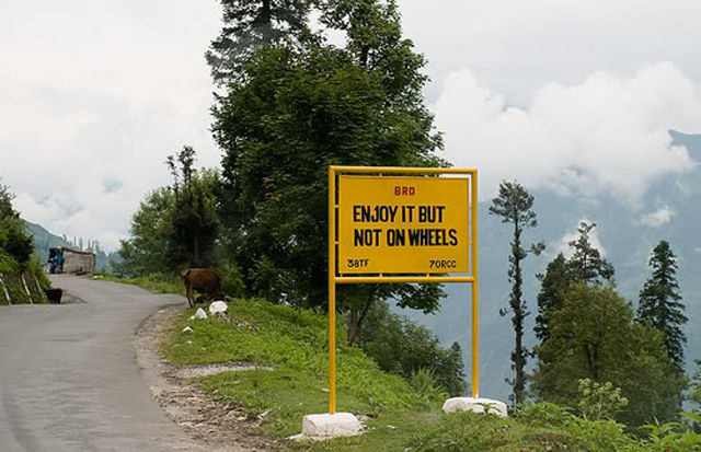 Bizarre Real Life Road Signs | sawpedia