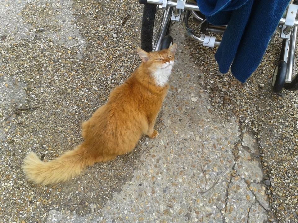 Flora's Post(e): 2014