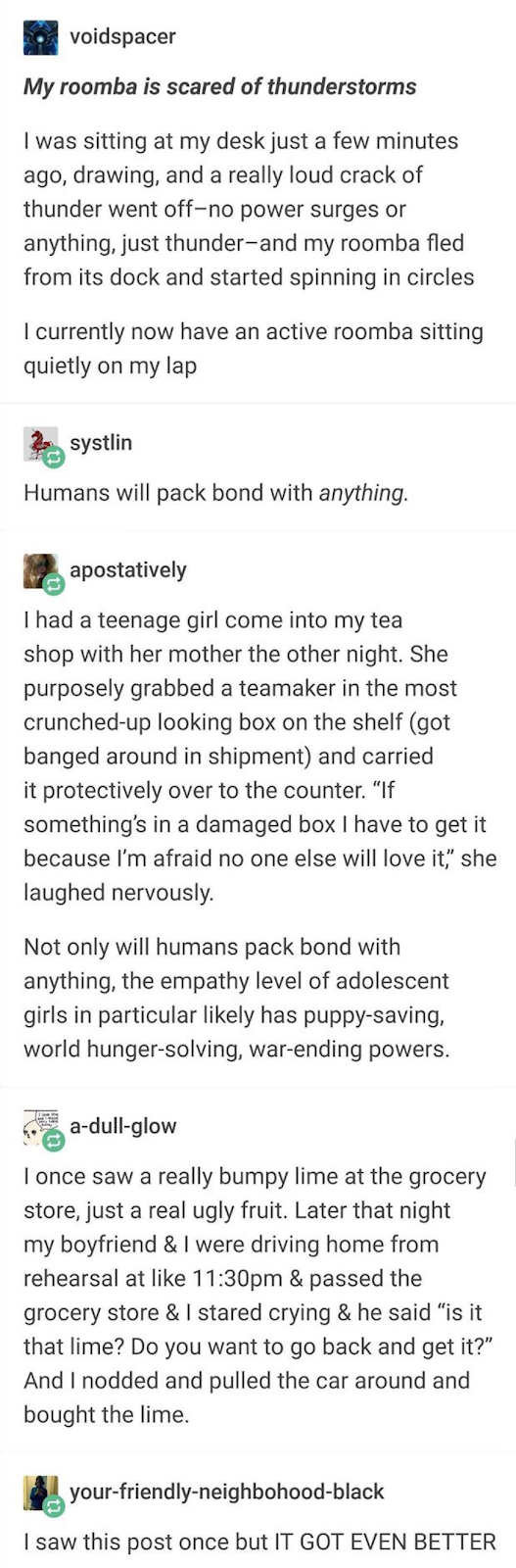 Skip's House of Chaos: Humans will pack bond with *anything*