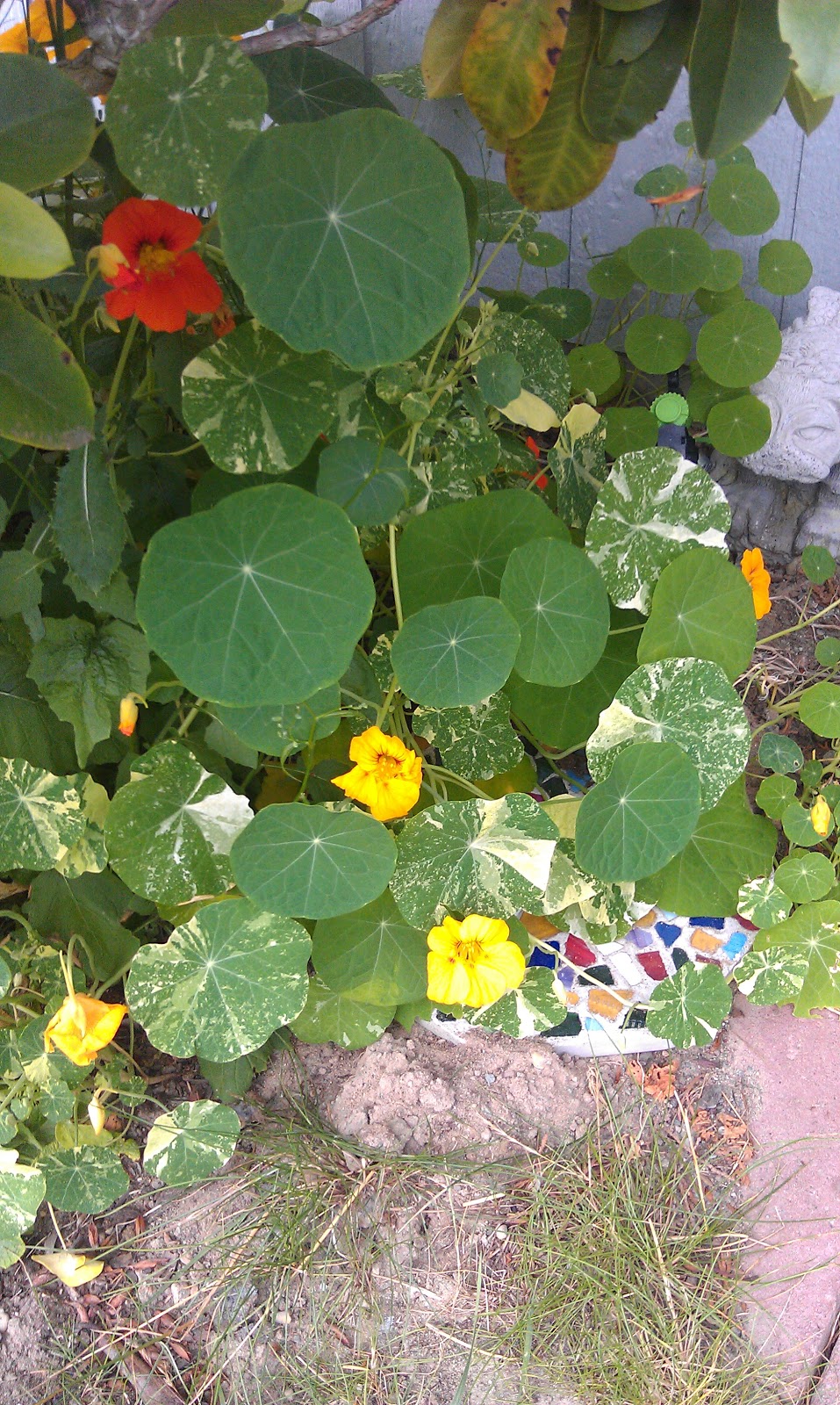 Smidgen Cakes: With Silver Bells and Cockle Shells...