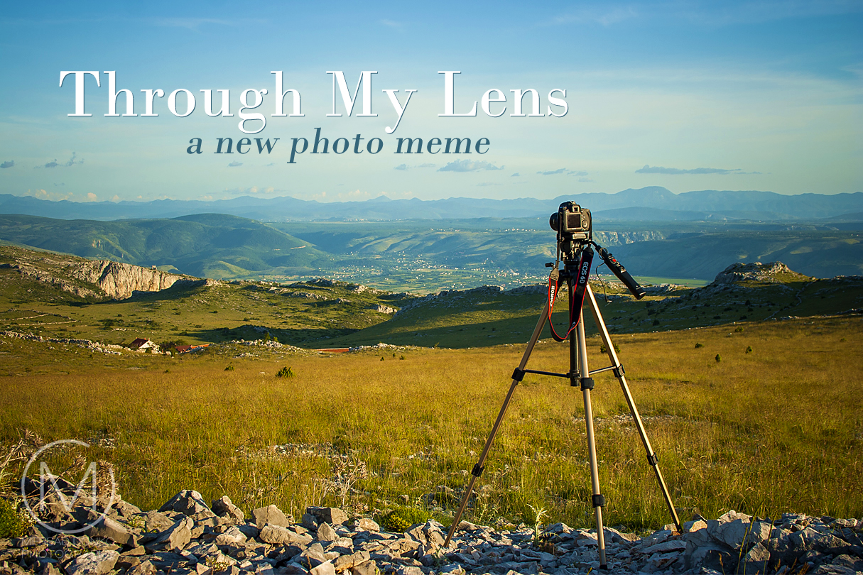 Through My Lens Nr. 1 - Mersad Donko Photography