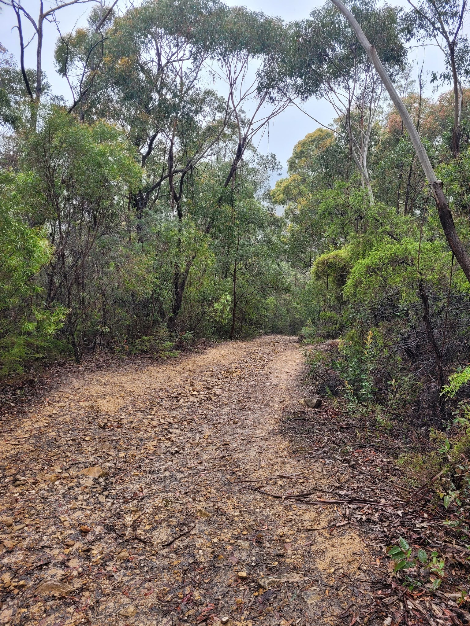 Steventure: Jingga Trail and Minerva Pool