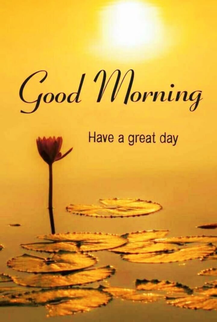 Good Morning Pictures
