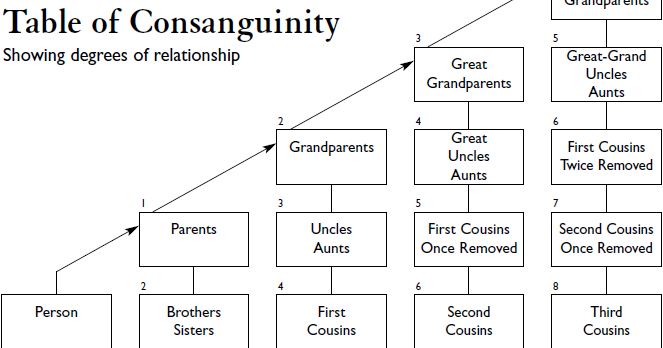 Genealogy's Star: Is there a better way to document complex familial ...
