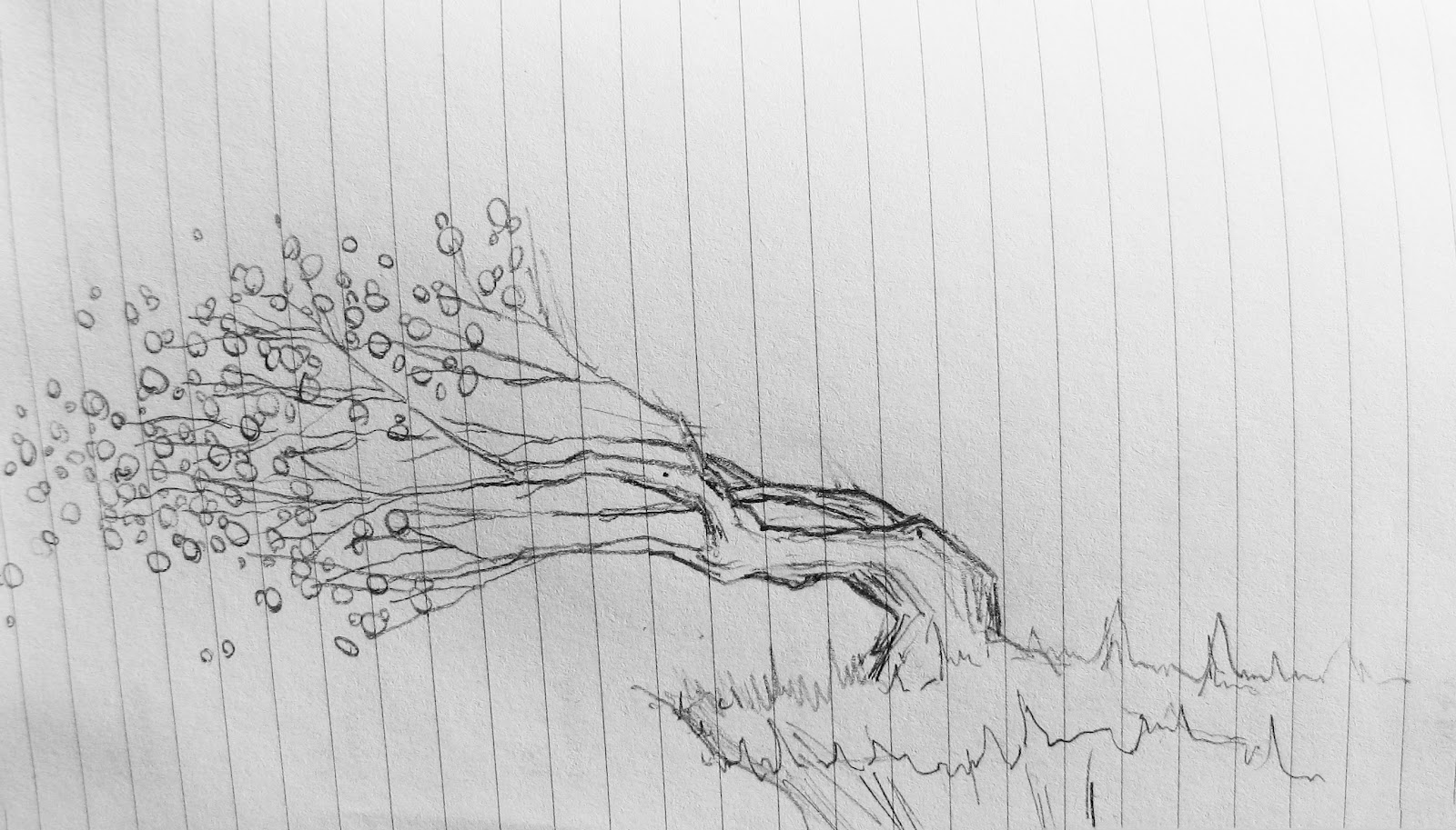 a tree a day: tree on cliff's edge