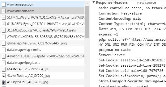 Software Development: viewing cookies being exchanged & stored in browser