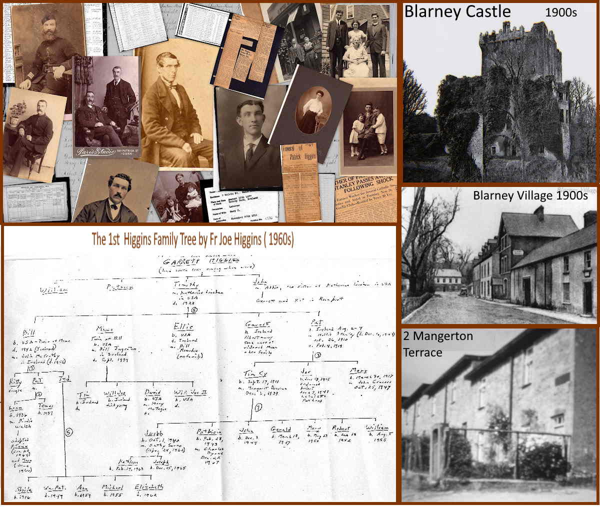 MyHigginsTree: Higgins Family