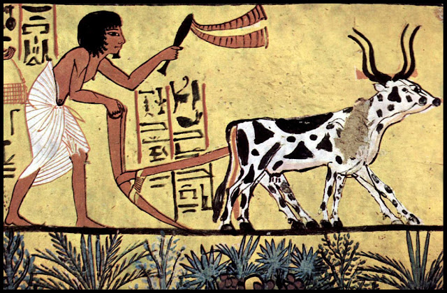 S T R A V A G A N Z A: THE FIRST FARMERS AND ORIGINS OF AGRICULTURE