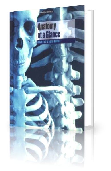 Surgery Made Easy Anatomy At A Glance Pdf