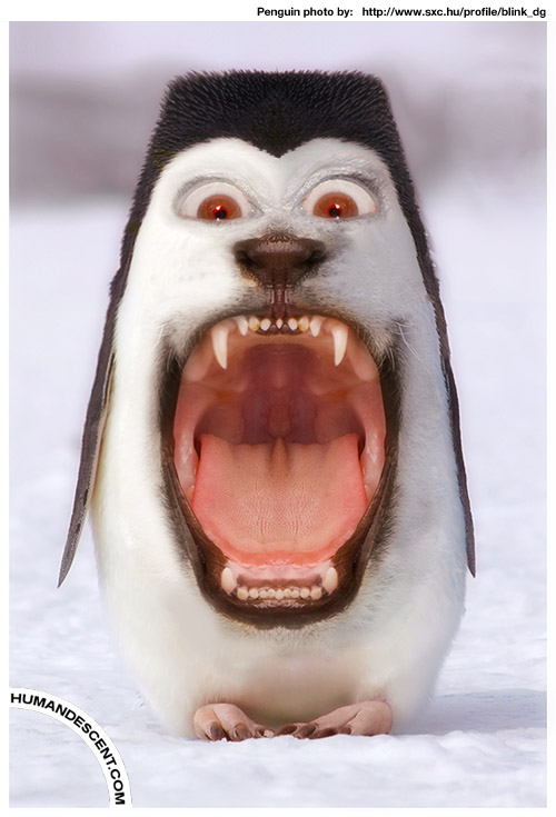 Cosas de Kiko: Martin HumanDescent (2ª parte)