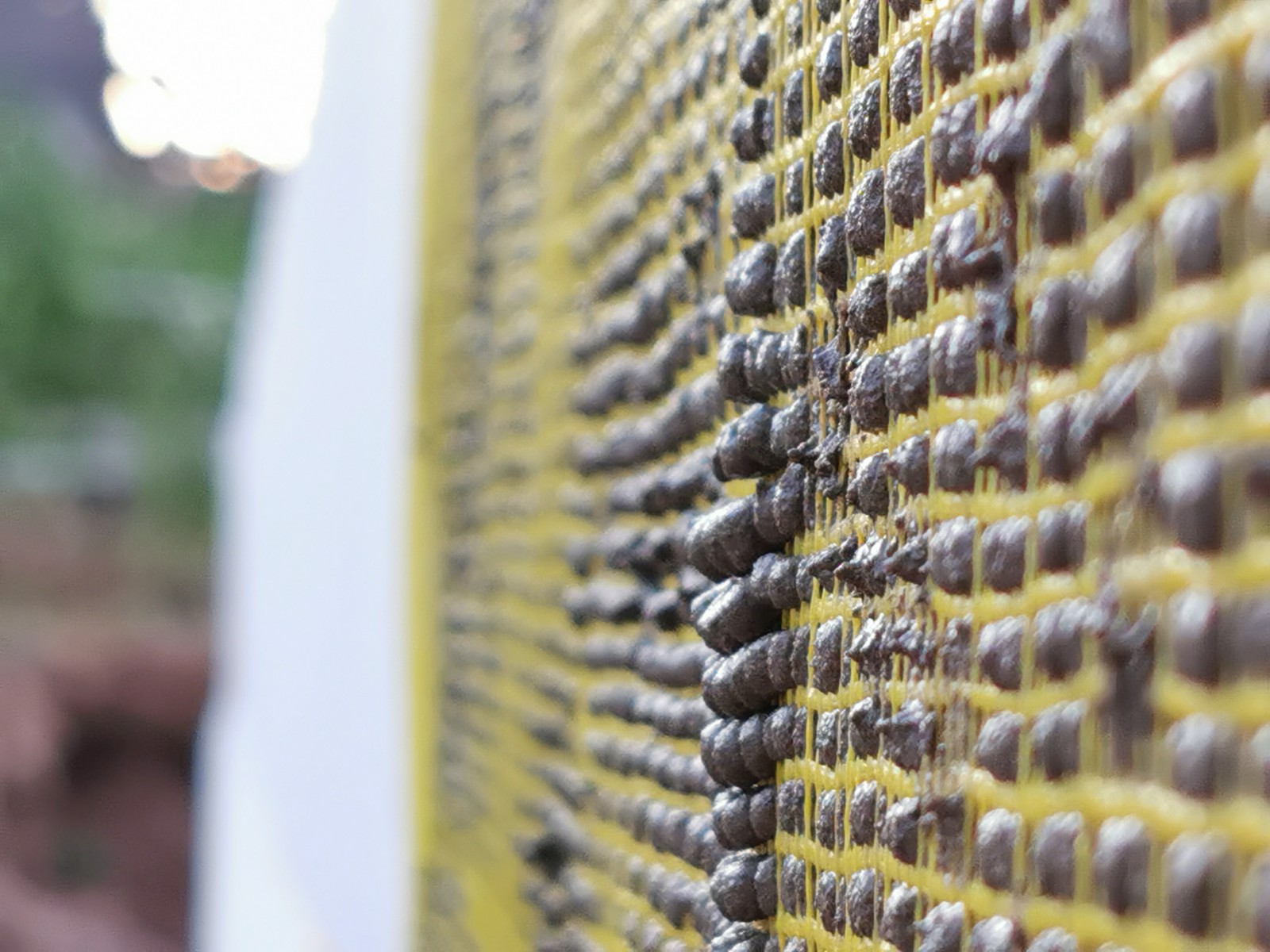 Statybininko namas: Pamatų šiltinimas II dalis (armavimas)