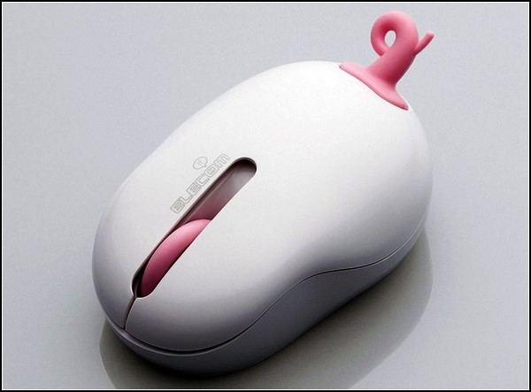 Science News: Computer mouse... With a tail. An amusing animal from ...