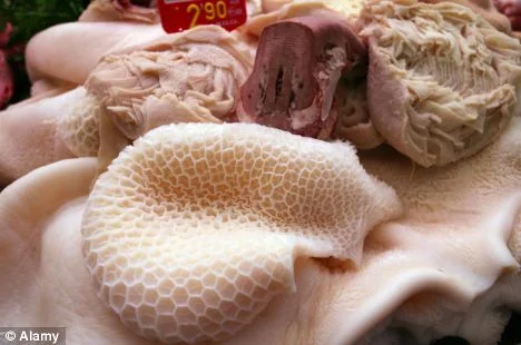 Sakatat Nedir ? | Sakatat Çeşitleri Nelerdir